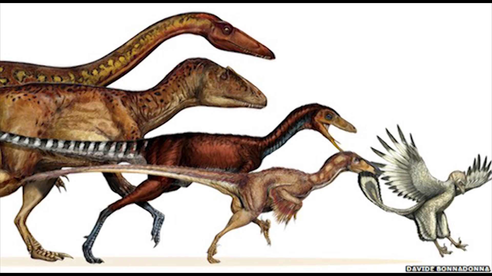 Why some dinosaurs work as playable characters and others do not