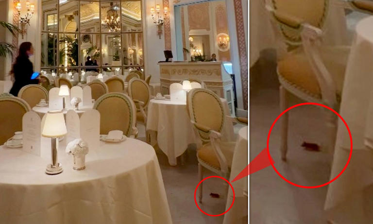 Putting off the Ritz! Afternoon tea diners are stunned to see MOUSE ...