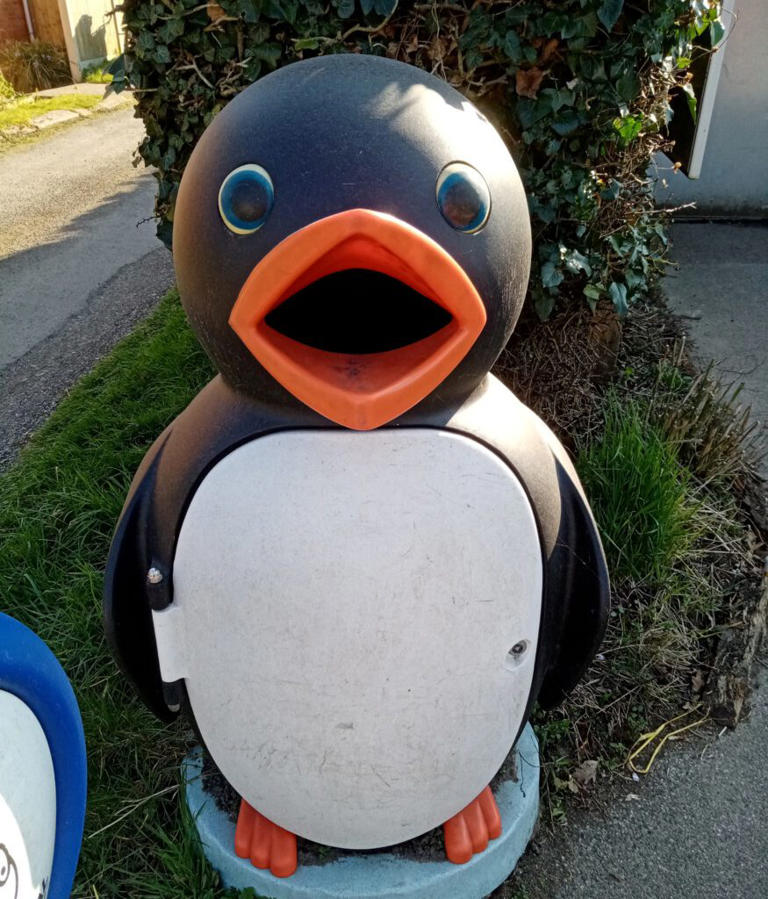 Bin enthusiast on mission to find best in world reveals his favourites