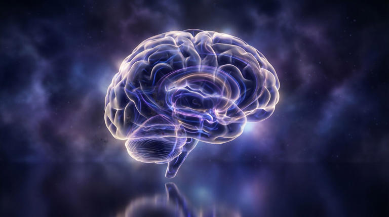 La vérité sur la détox : pourquoi votre corps fait mieux que n’importe ...