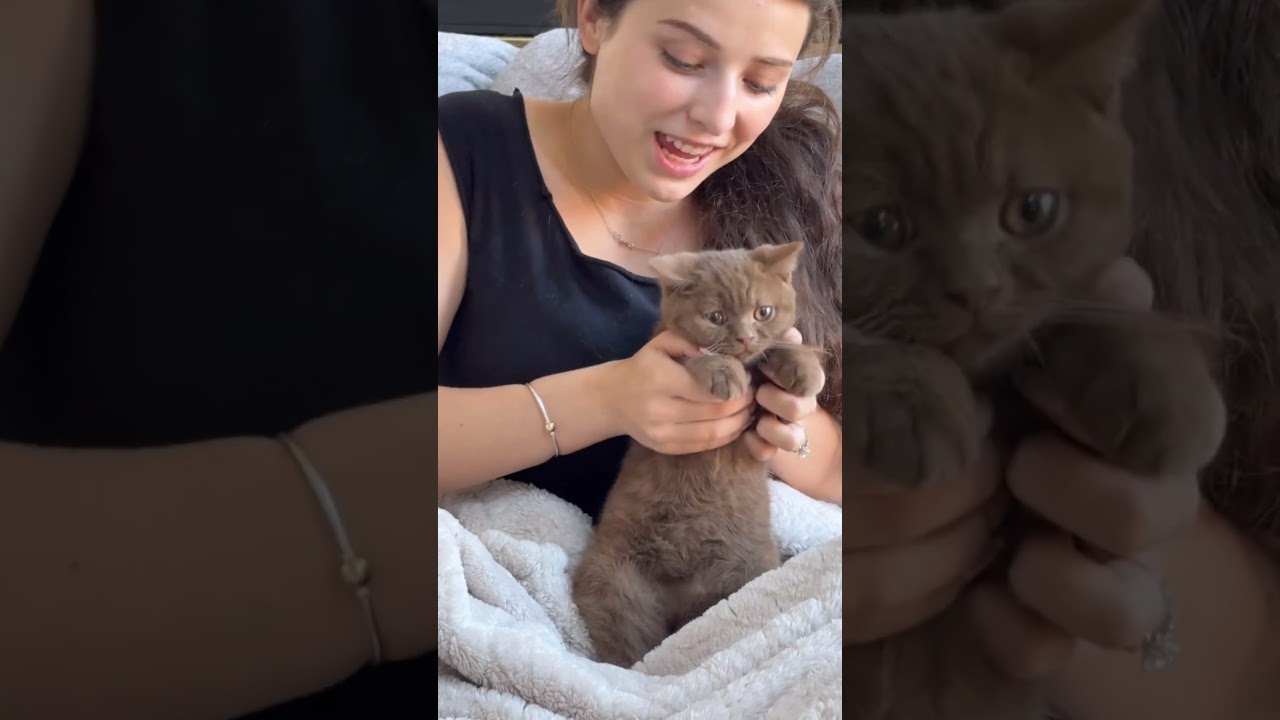 The cutest cat ever finally gets its perfect name