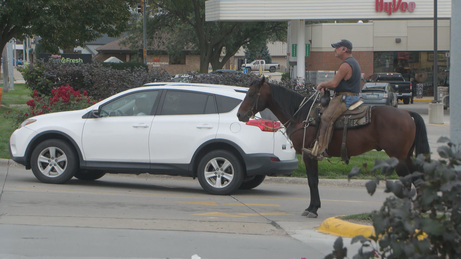 How one man’s ride down Hamilton Blvd helps train his horse and serves ...