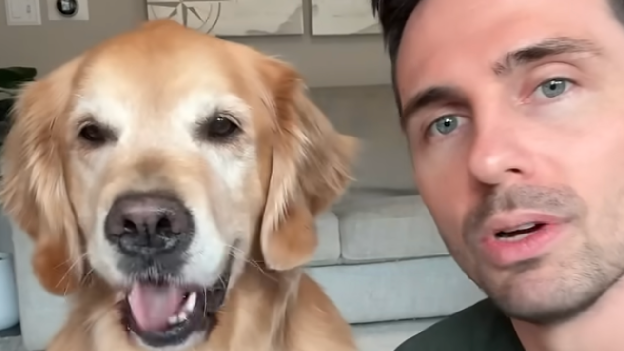 People say dogs can’t smile