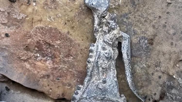 Royal finds in the Thames