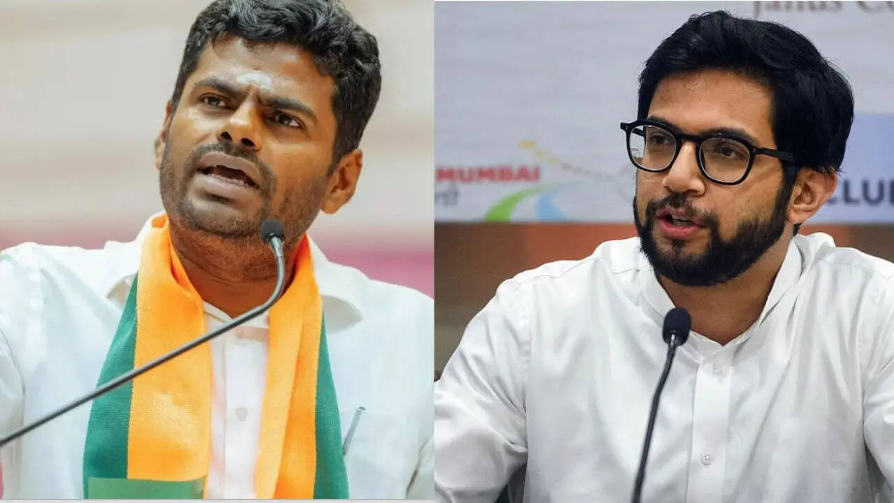 A sweet rasmalai victory: South BJP MPs dig at Raj Thackeray as BJP ...