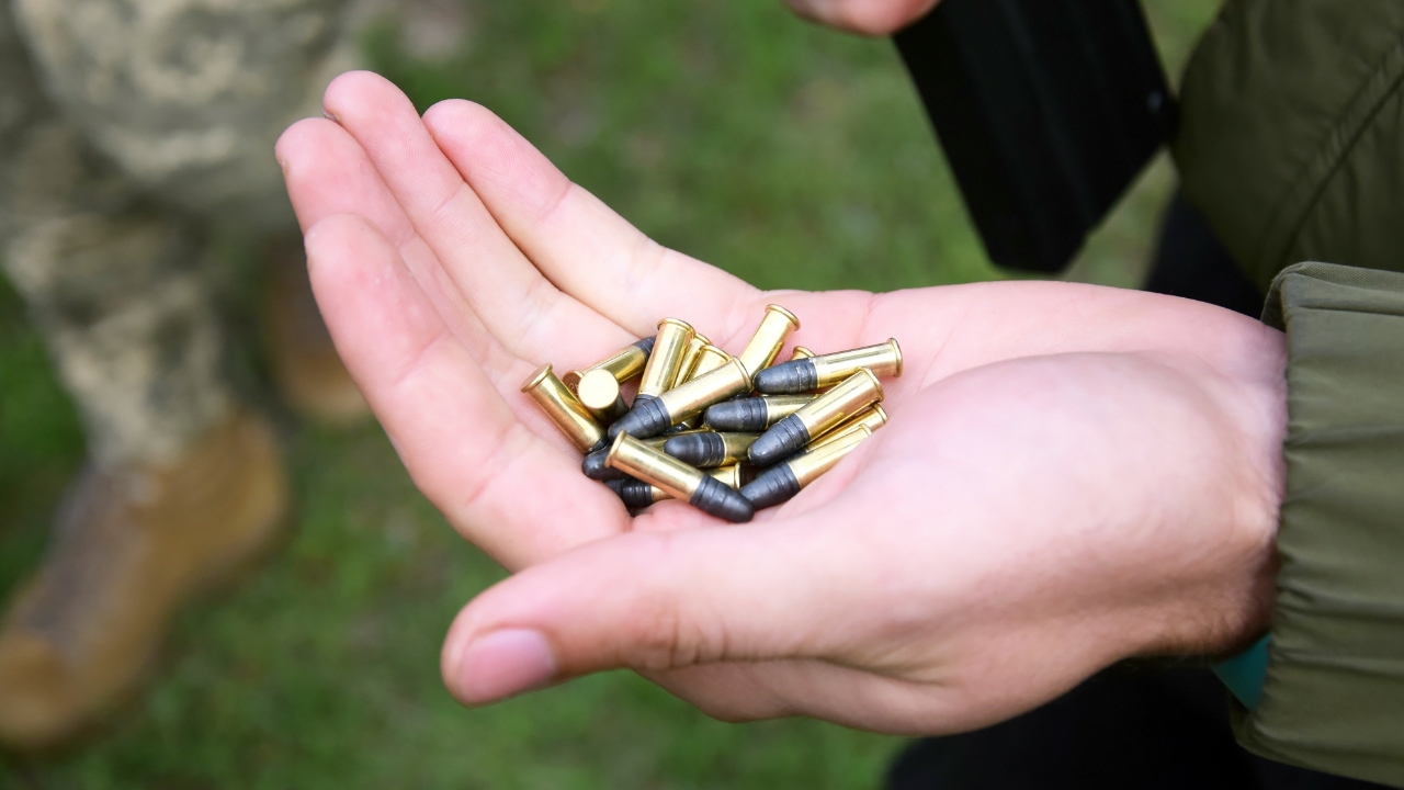 The most budget-friendly calibers for regular pest control on the property