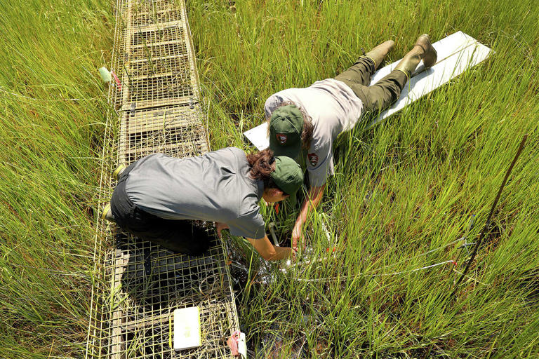 Trump admin strips key science data from America's national parks