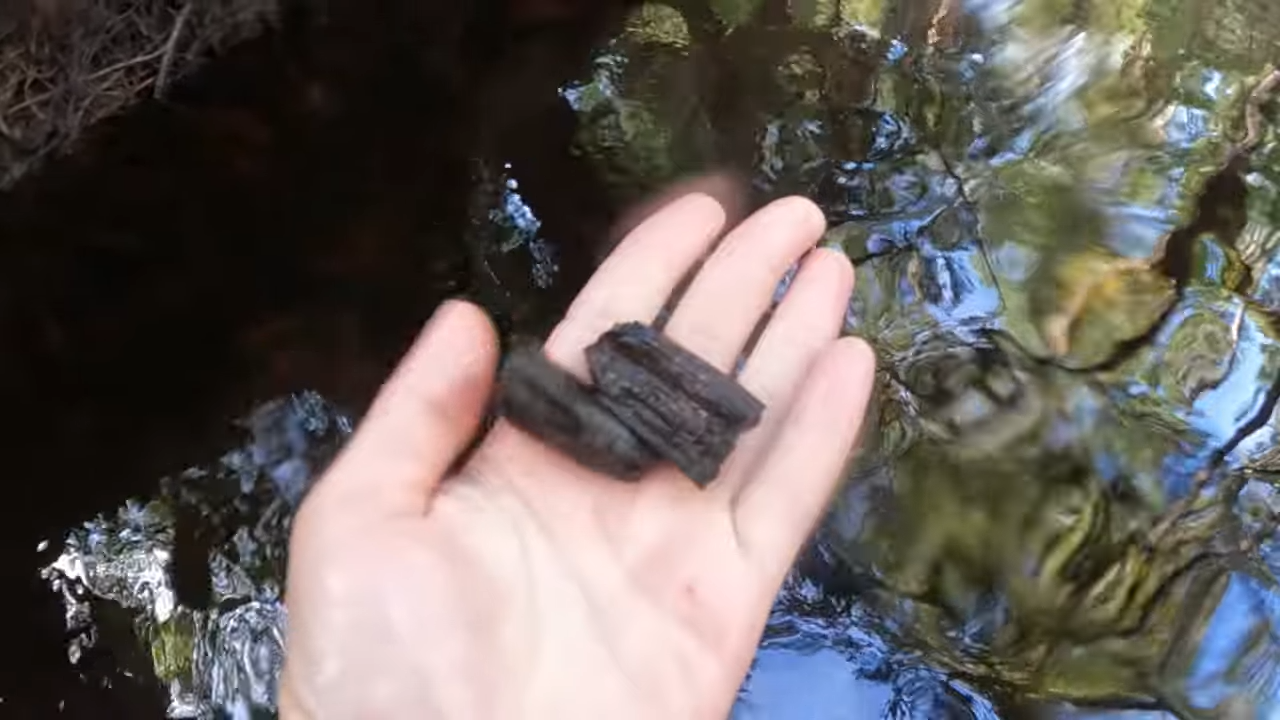 Ice age fossils just sitting in the mud