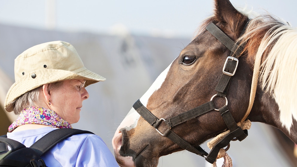Pferde können unsere Angst tatsächlich riechen