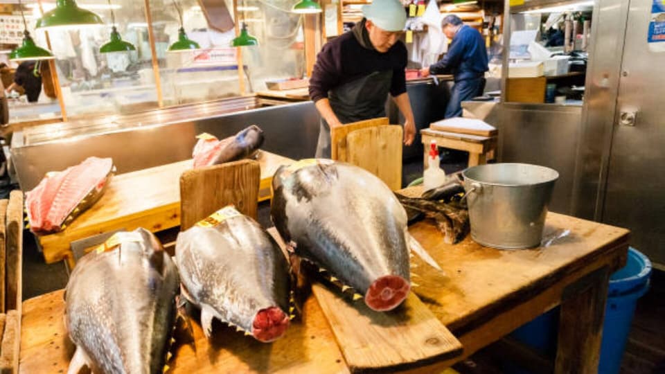 50-year-old woman eats raw fish gallbladder to relieve migraine ...