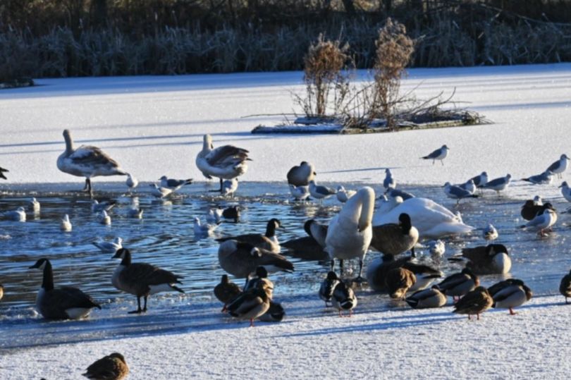 UK faces 600-mile snow bomb and only three counties in England will escape