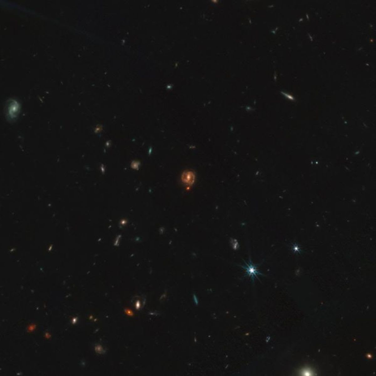 Little red dots might actually be baby supermassive black holes in disguise