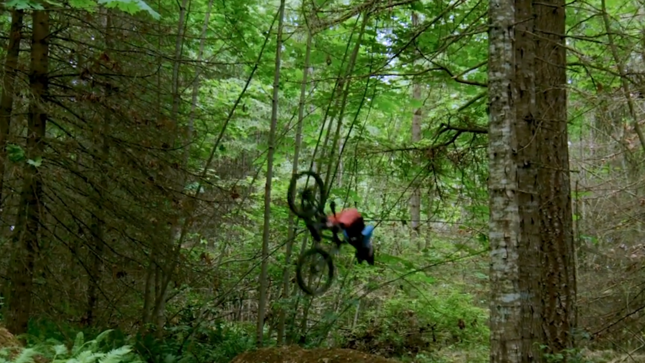 The final shape before we send it