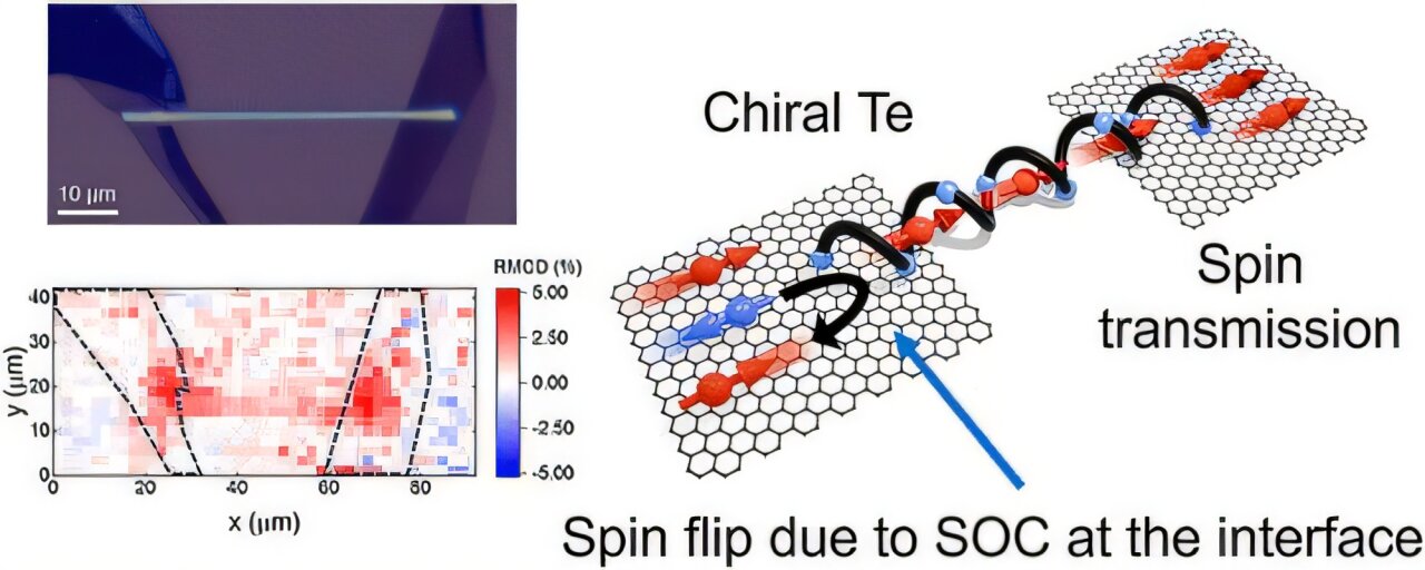 Chiral nanowires can actively change electron spin direction