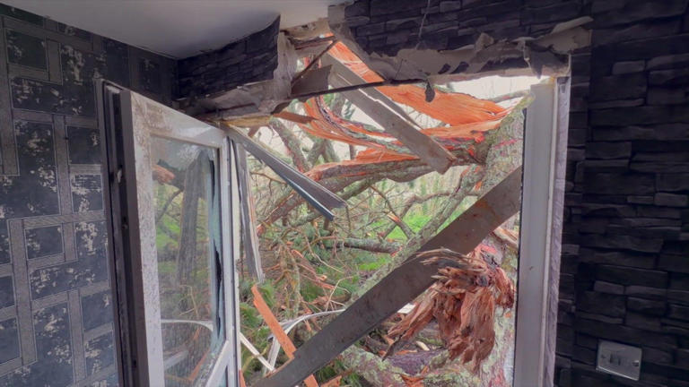 Family 'inches from death' after tree fell on home