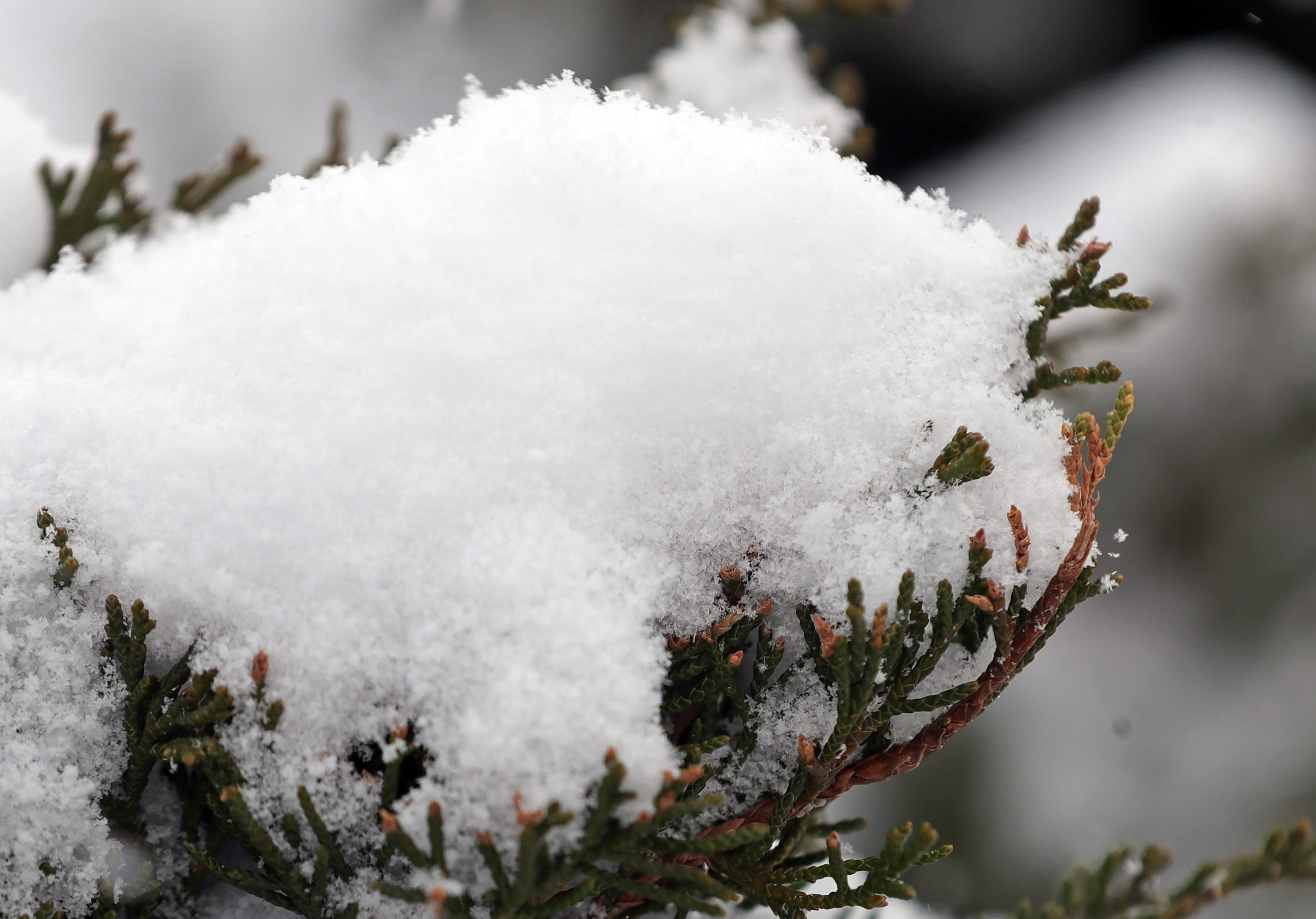 How cold will it get in Michigan? Frigid weekend air, persistent snow