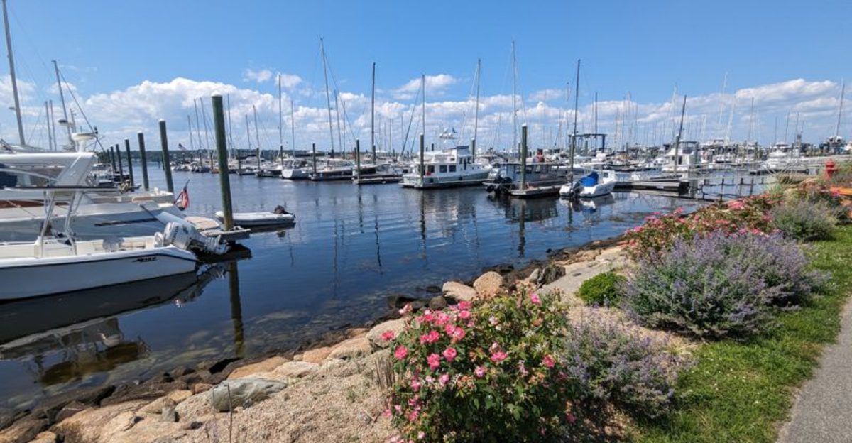 7 dog-friendly small towns in Rhode Island that turn a quick trip into ...