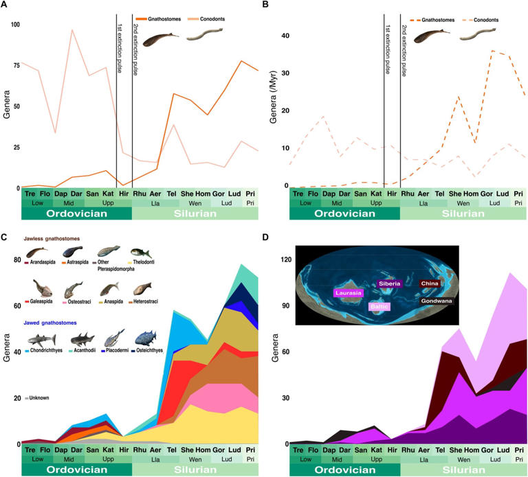 Mass extinction helped jawed vertebrates rise, study finds
