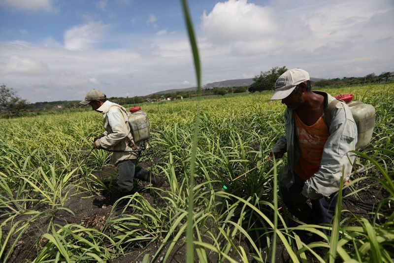 Mosaic warns of North American fertilizer demand slump in fourth quarter
