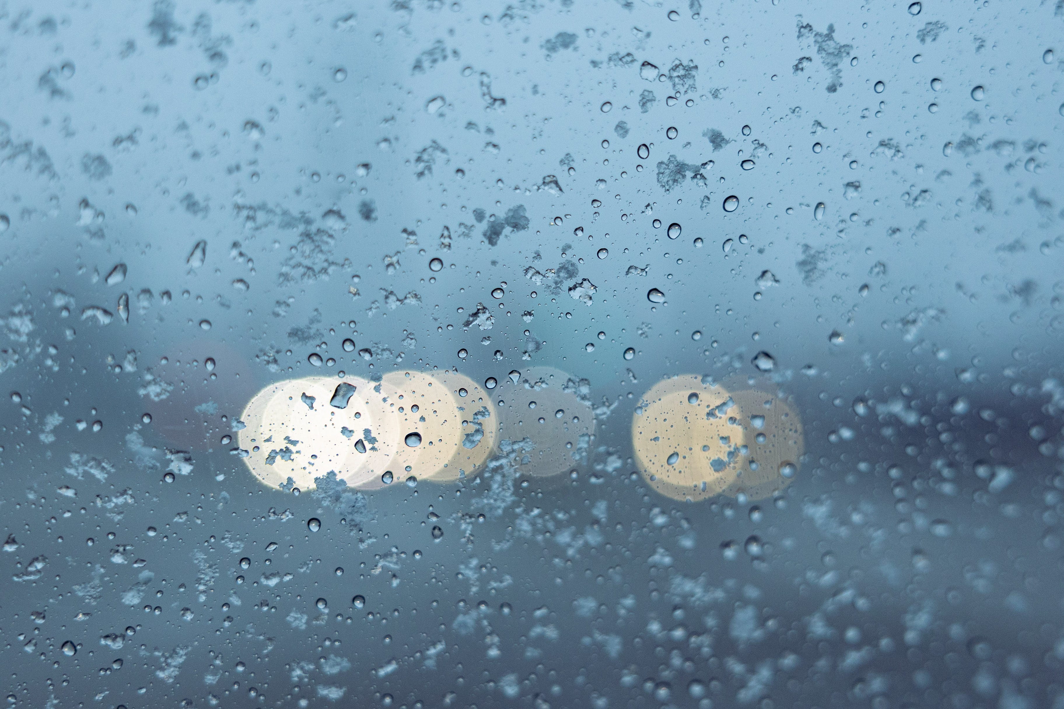 Erie County saw more than foot of snow in places. Who got the most?