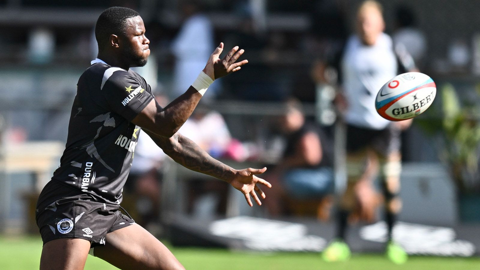 Champions Cup: Bok bolter Aphelele Fassi returns for Sharks as they ...
