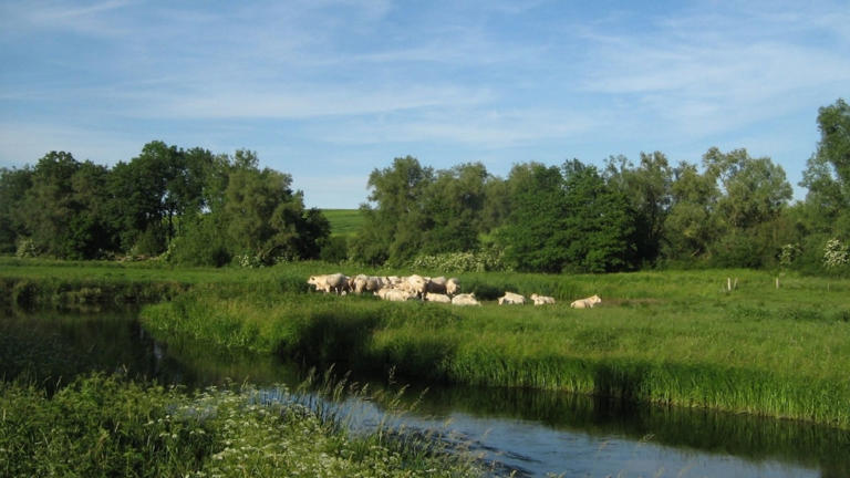 Teams in Germany continue to uncover bronze and flint arrowheads from ...