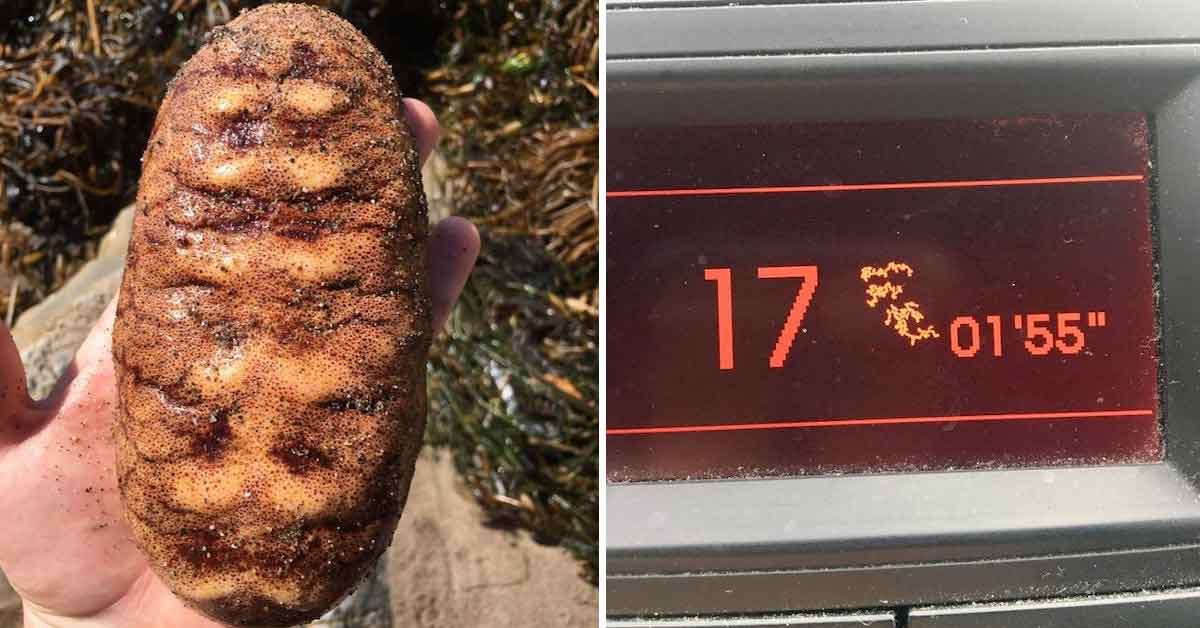 What is this? The internet answers the question