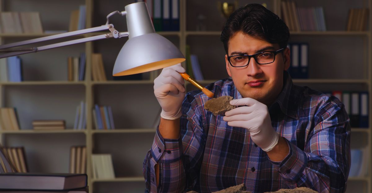 Teams in Germany continue to uncover bronze and flint arrowheads from ...