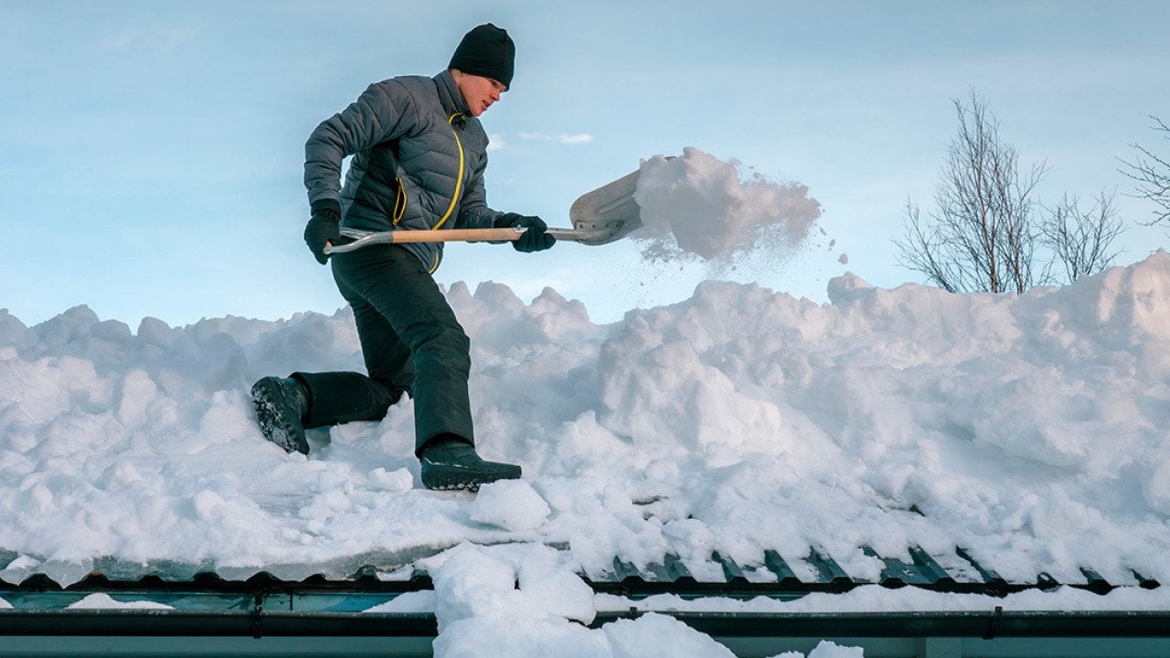 The weight of winter: 5 tips for dealing with wet, heavy snow