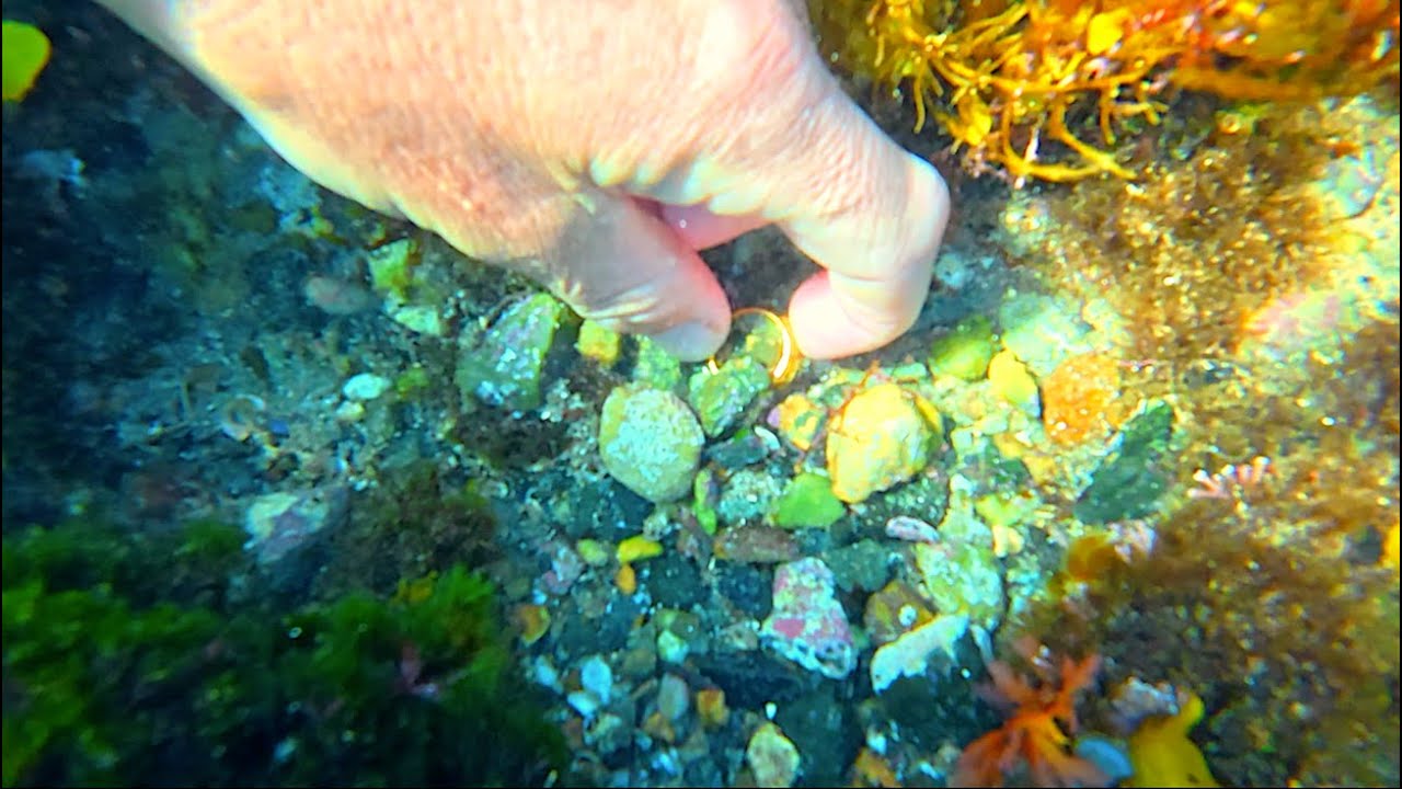 Twenty minutes in, a diamond ring appeared - then the dive got complicated