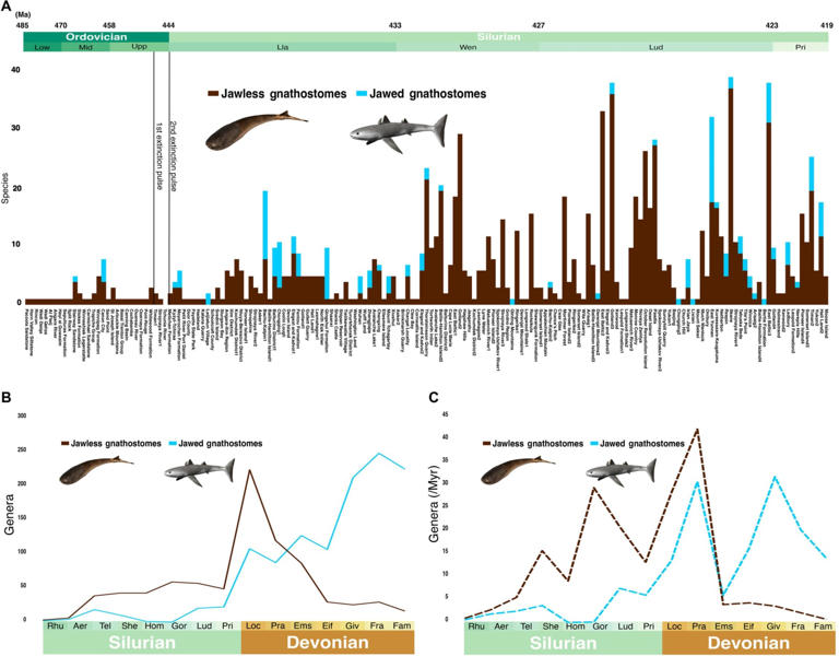 Mass extinction helped jawed vertebrates rise, study finds