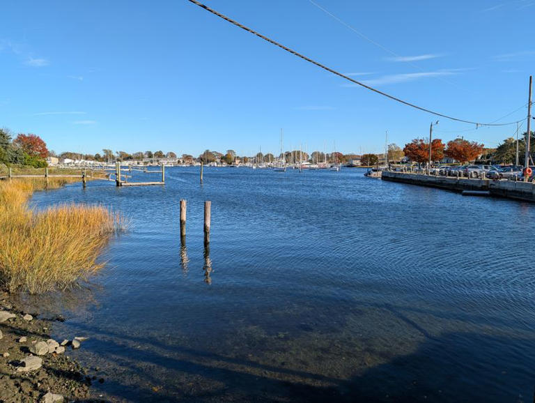 7 dog-friendly small towns in Rhode Island that turn a quick trip into ...