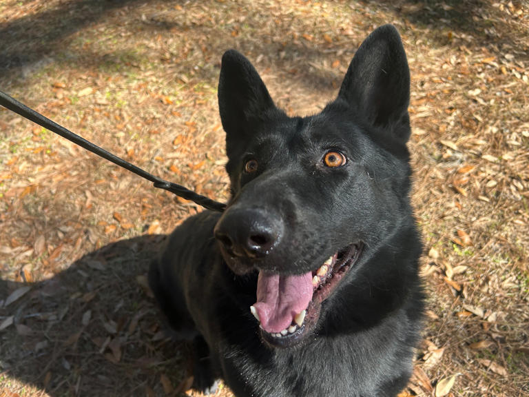 Furry Friday: Bundle up, we’re ready for a walk!