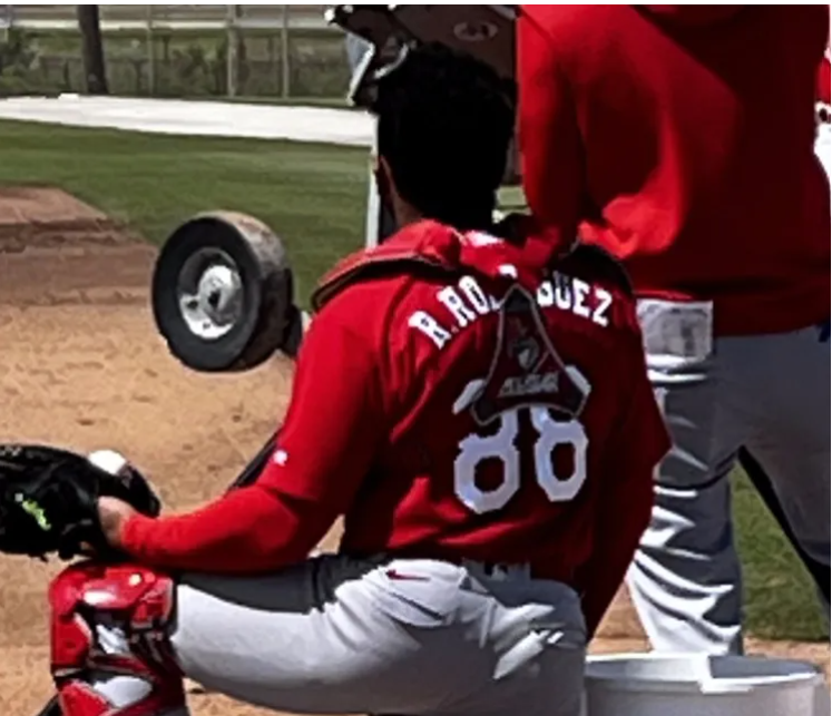 The St. Louis Cardinals are building a nice farm system pipeline