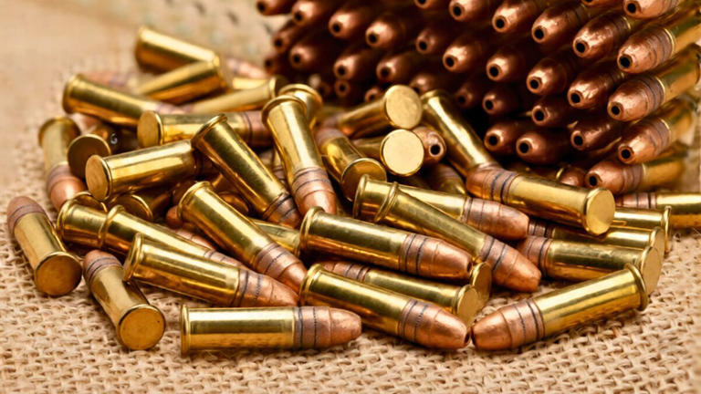 Calibers that won’t break the bank when you’re burning ammo on nuisance ...