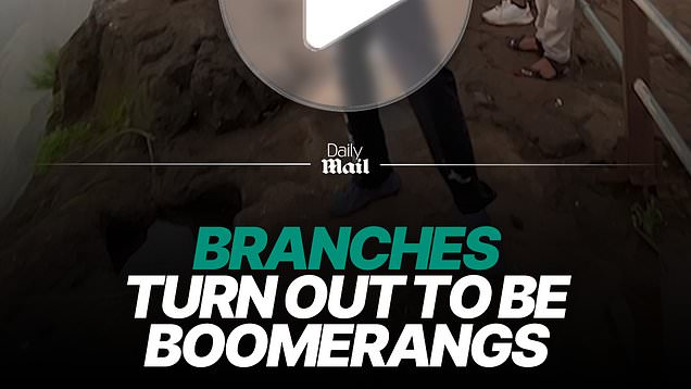 Man tosses branches that unexpectedly fly back like boomerangs