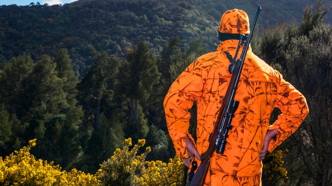 15 states every good hunter knows to avoid