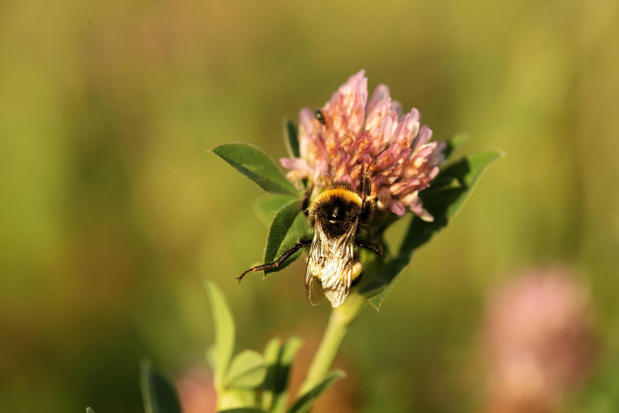 Local farm’s compost venture earns national sustainability recognition