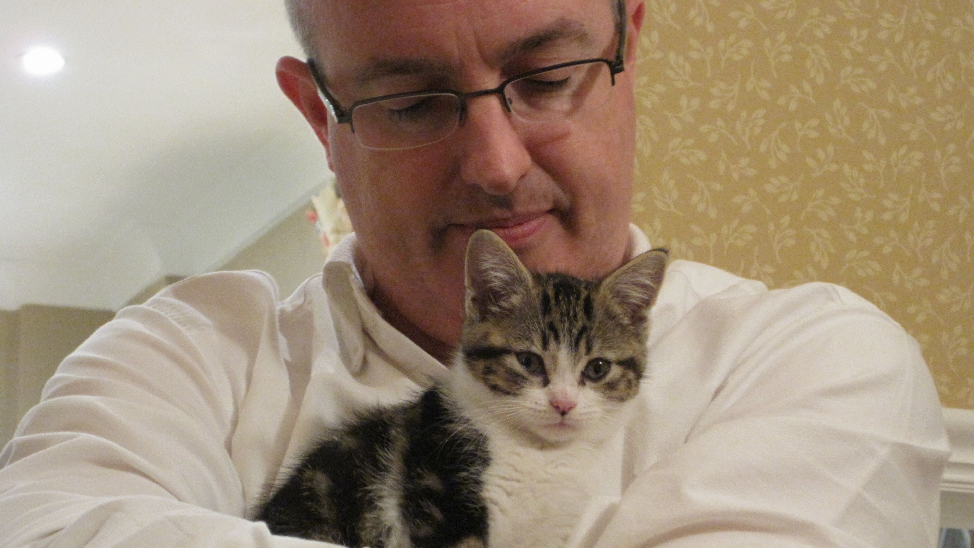 Cat reunited with family 10 years after going missing