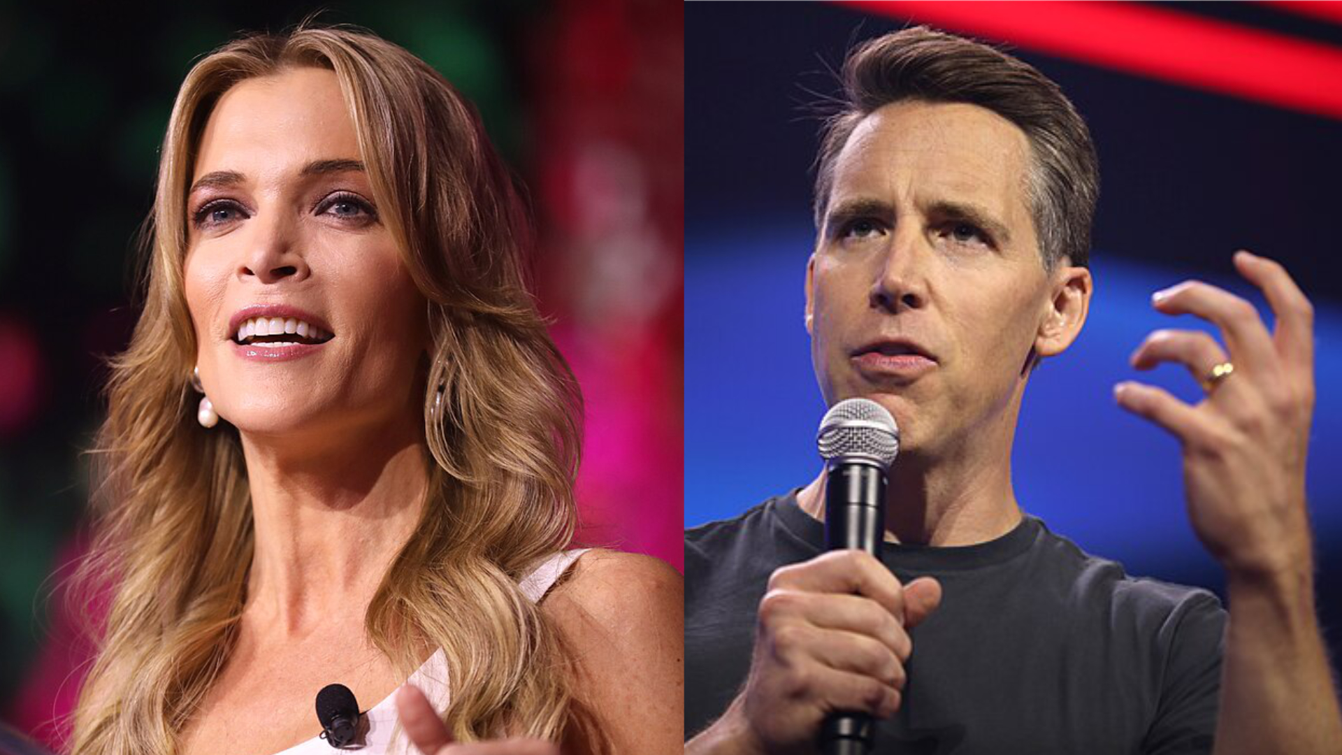 Megyn Kelly defends Sen. Hawley in viral clash over 'Can men get ...