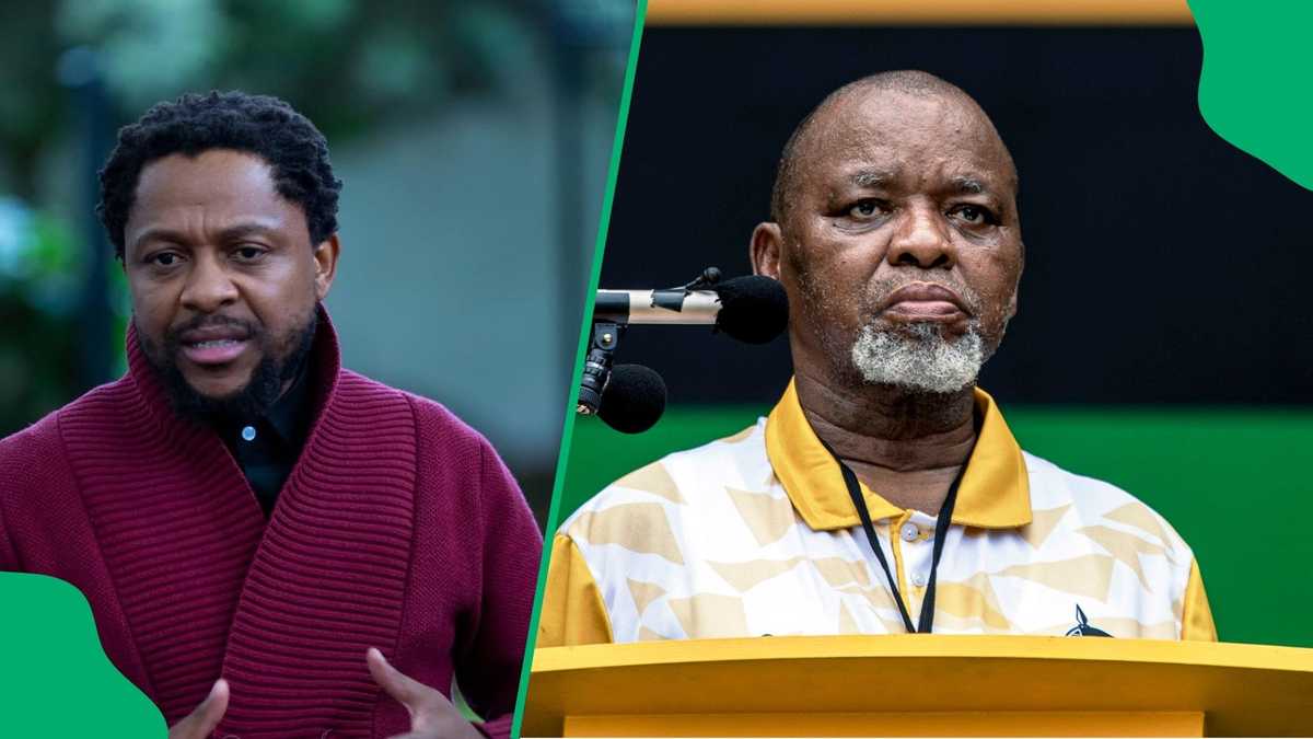 Mbuyiseni Ndlozi takes swipe at Gwede Mantashe’s viral cake antics, SA ...