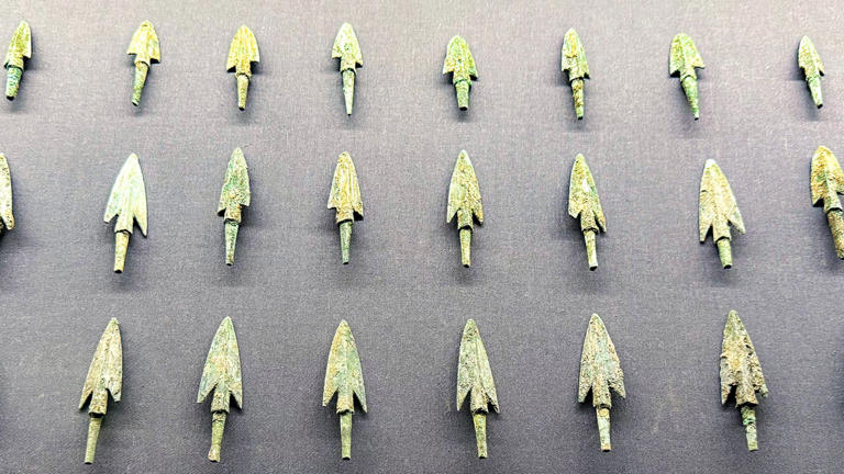 Teams in Germany continue to uncover bronze and flint arrowheads from ...