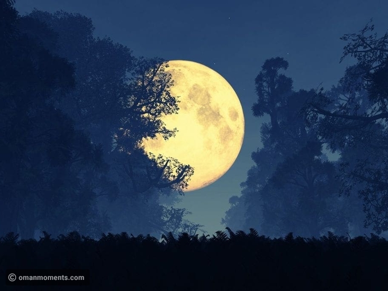 Today's moon mood: Wednesday, December 31, 2025