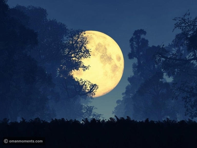 Today's moon mood: Wednesday, December 31, 2025