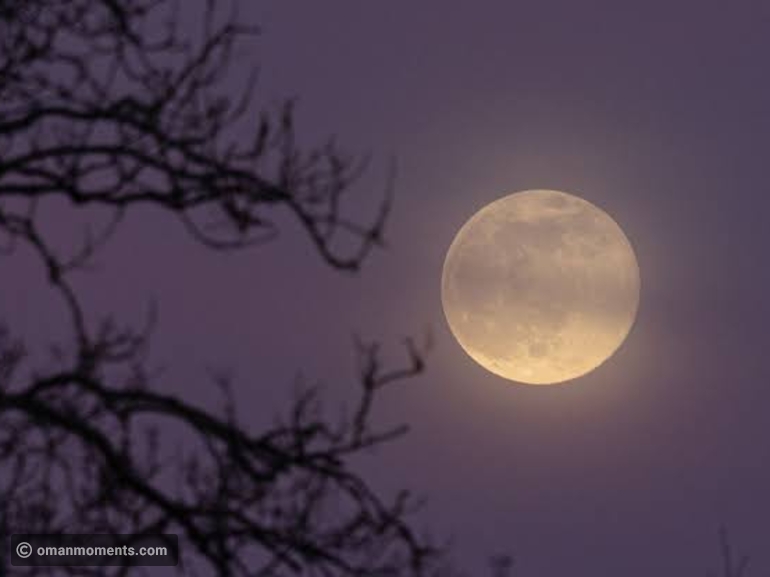 Today's moon mood: Sunday, December 21, 2025