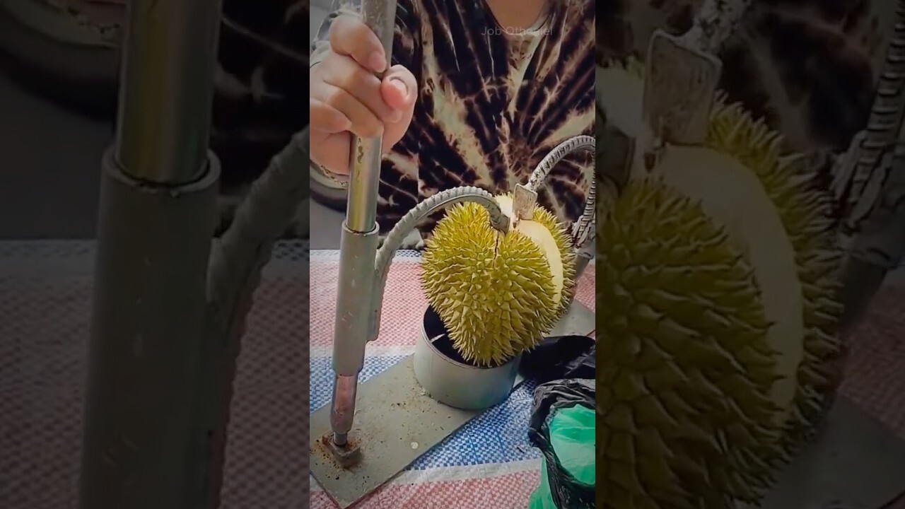 Watch how they open durian in seconds with this tool! #Durian