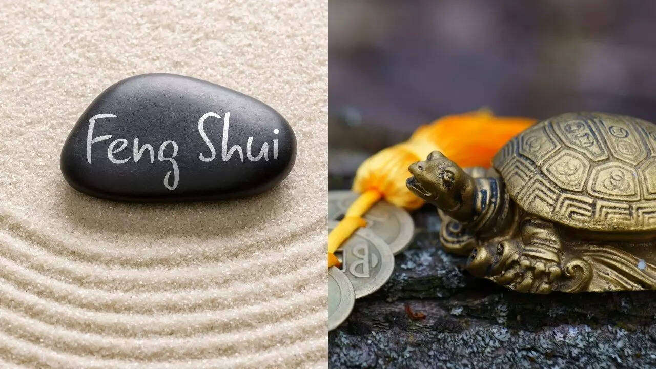 Why is tortoise considered sacred in feng shui? What’s the right way to ...