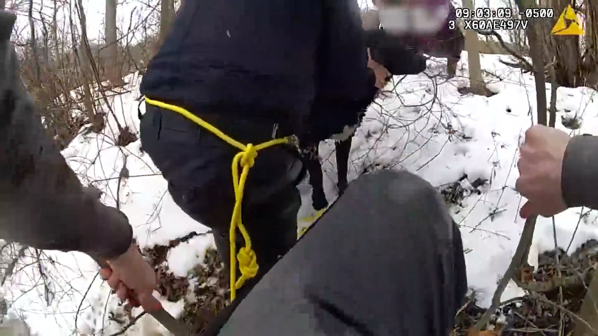 Dog rescued after falling through ice in New York