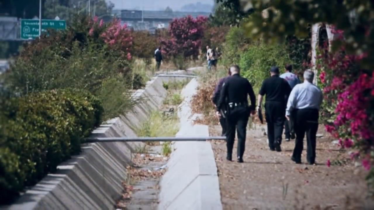 What went wrong in the Freeway Phantom investigation – "A case that ...