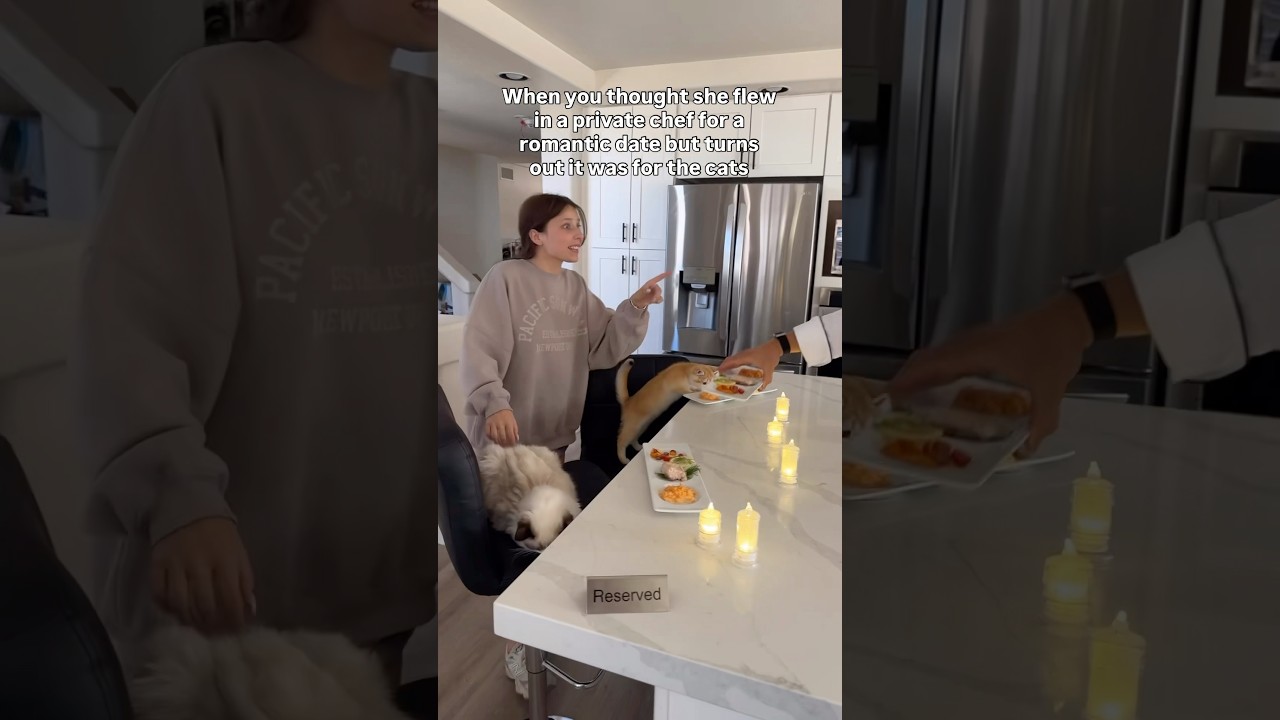 My girlfriend planned a romantic meal for the cats instead of me